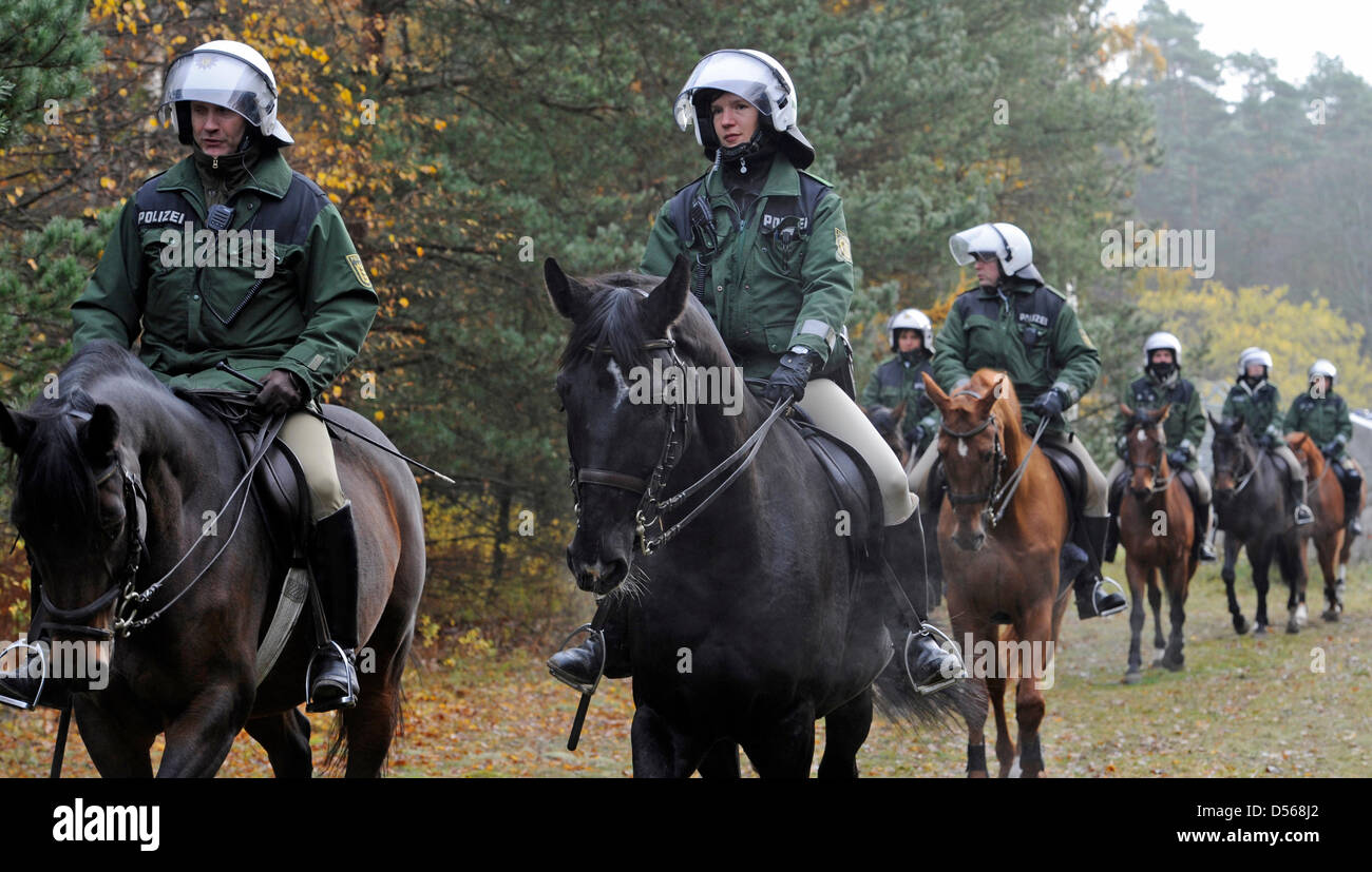 Police horses in riot gear hi-res stock photography and images - Alamy