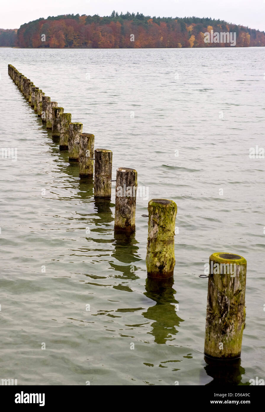 Lake stechlin hi-res stock photography and images - Alamy