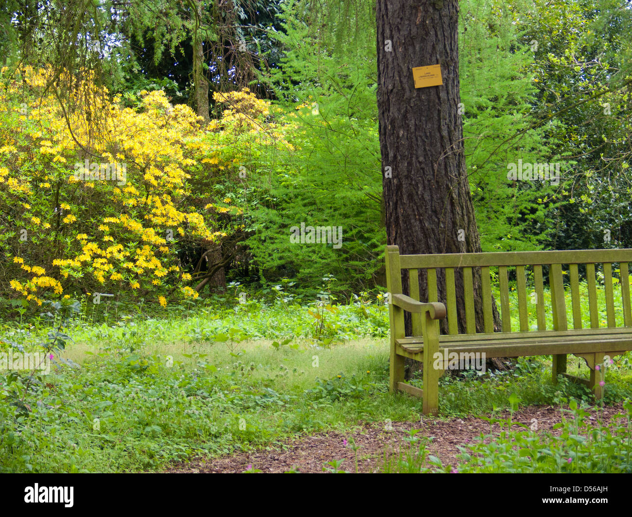 Meise botanic garden hi-res stock photography and images - Alamy