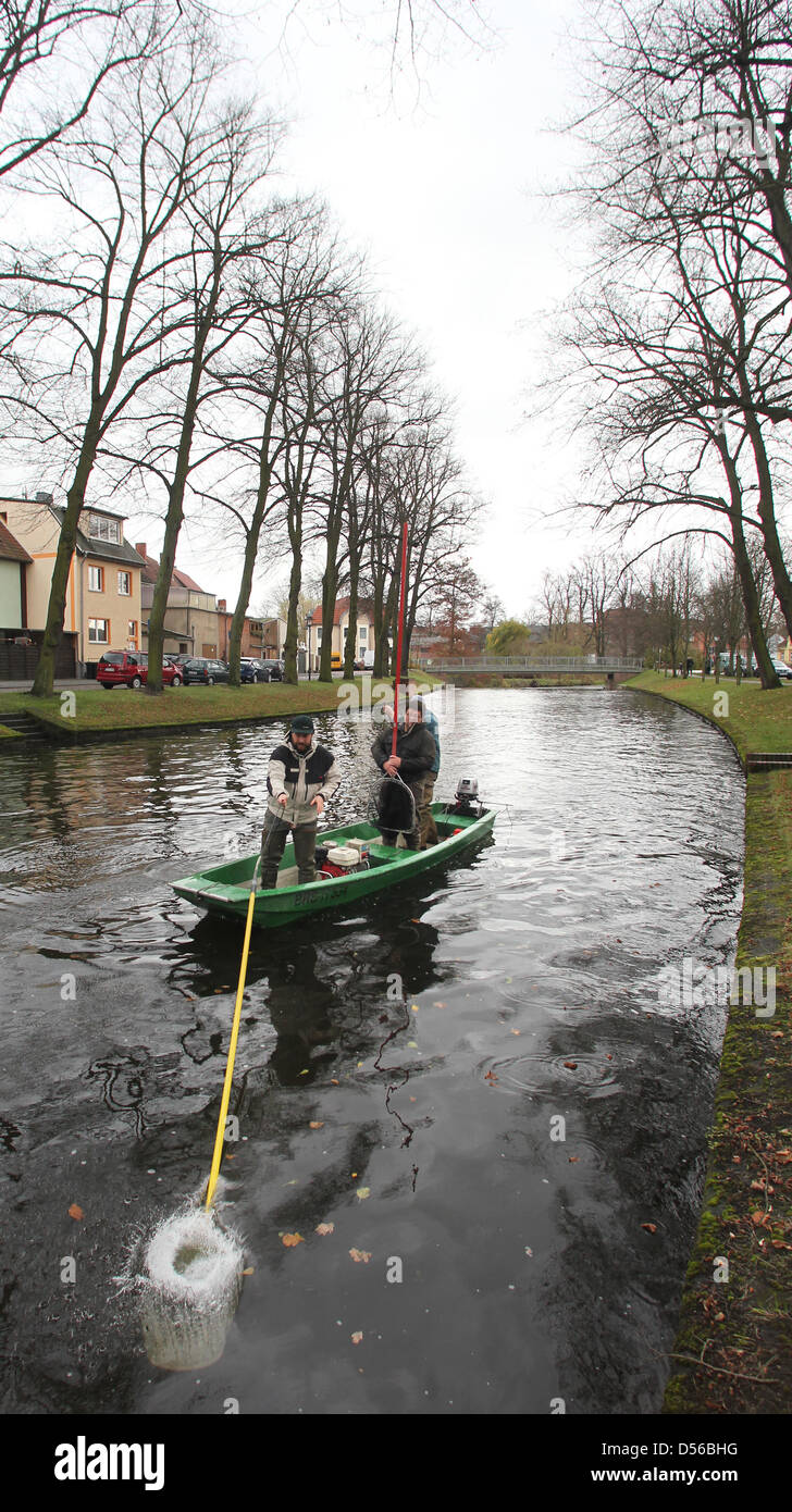 Biologists check on the salmon population of the river Stepenitz in ...