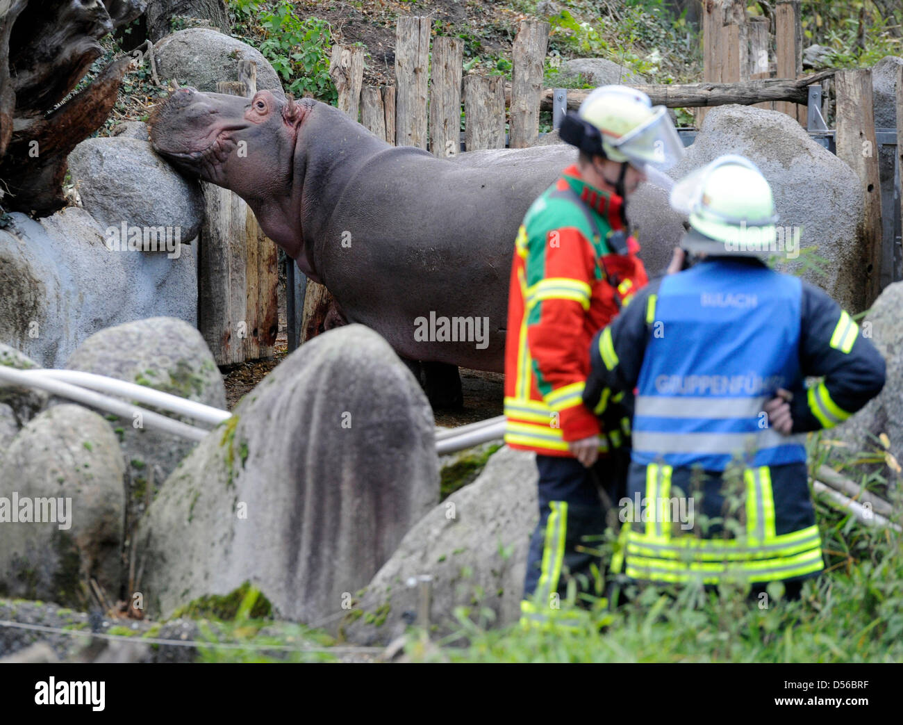 Karlsruhe zoo germany hi-res stock photography and images - Alamy