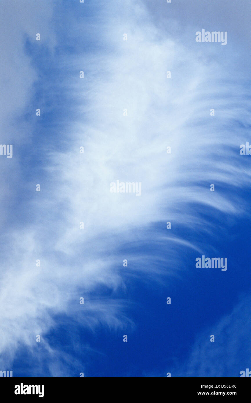 cloud sky [for backgrounds] Hawaii Stock Photo - Alamy