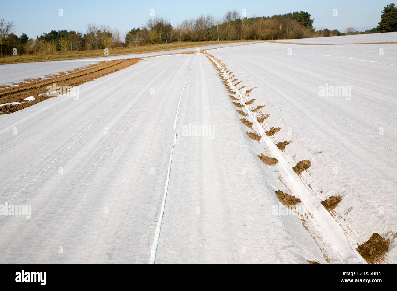 Crop protection hi-res stock photography and images - Alamy