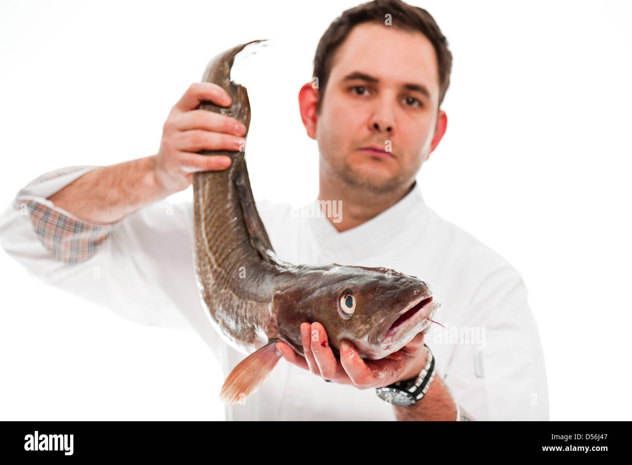 Young male cook with white jacket holding a big fish isolated on white ...