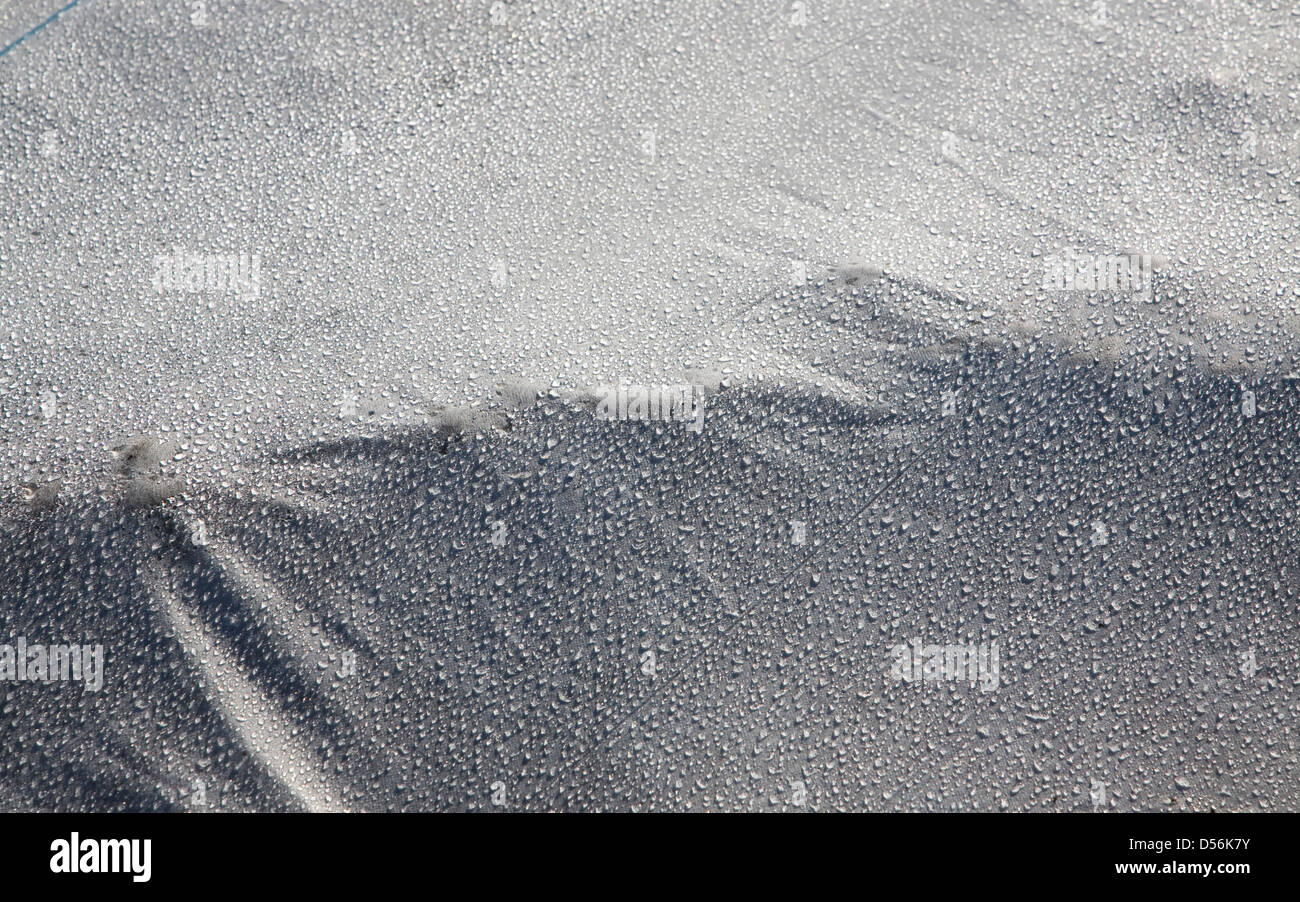 Water droplets dew condensation on fleece fabric in field Stock Photo ...