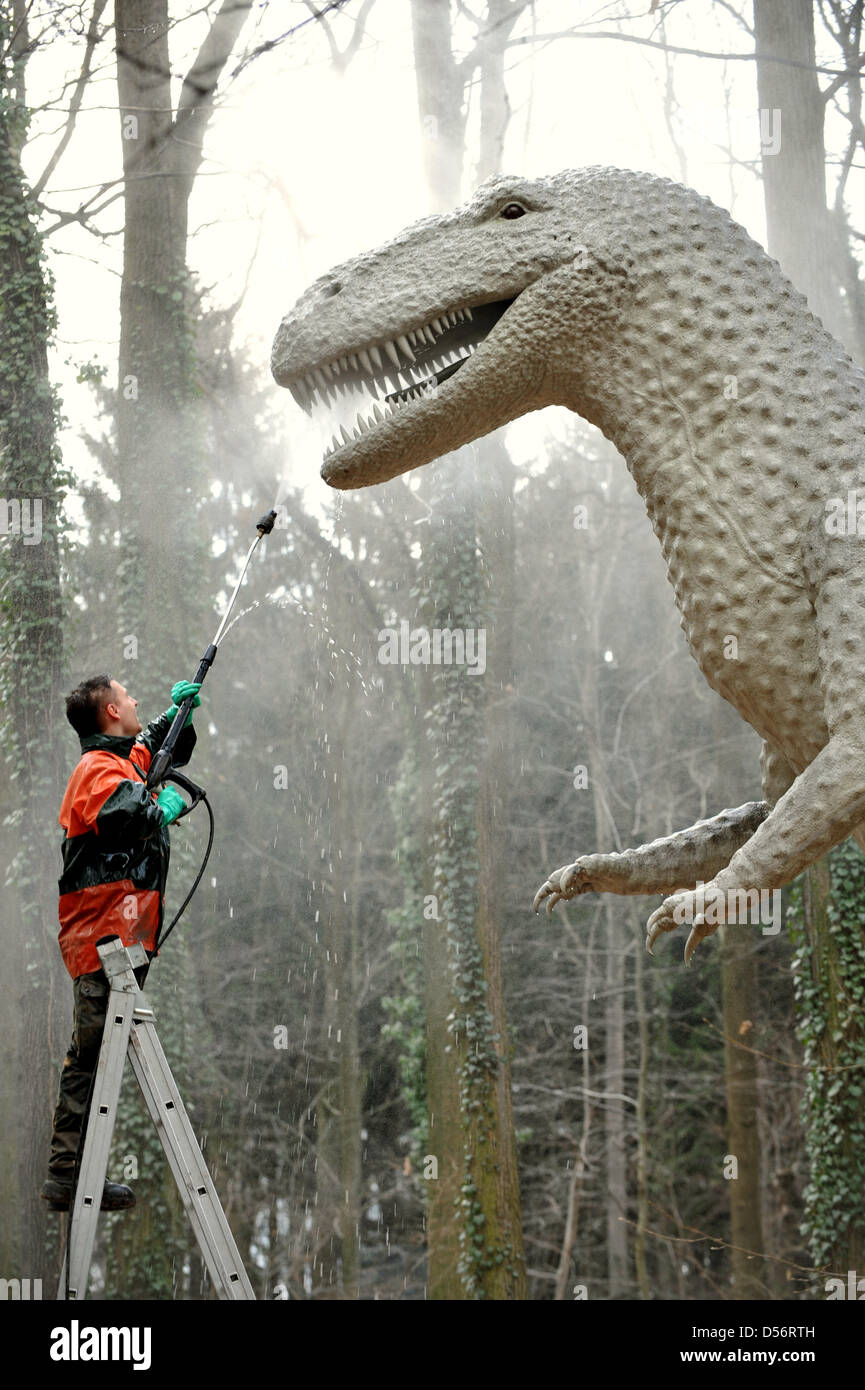 Antrodemus hi-res stock photography and images - Alamy