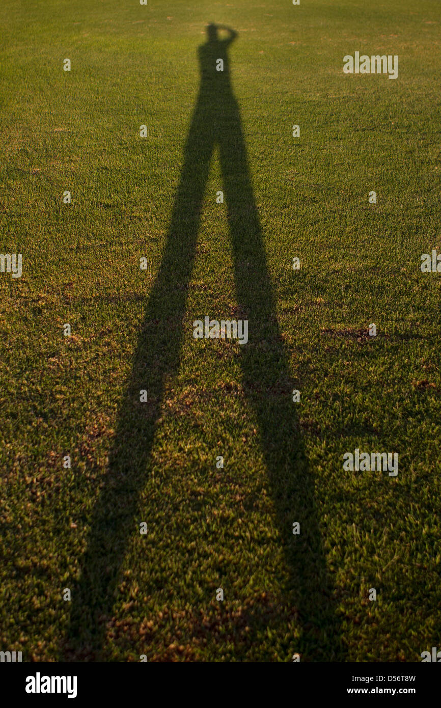 Shadows grass hi-res stock photography and images - Alamy