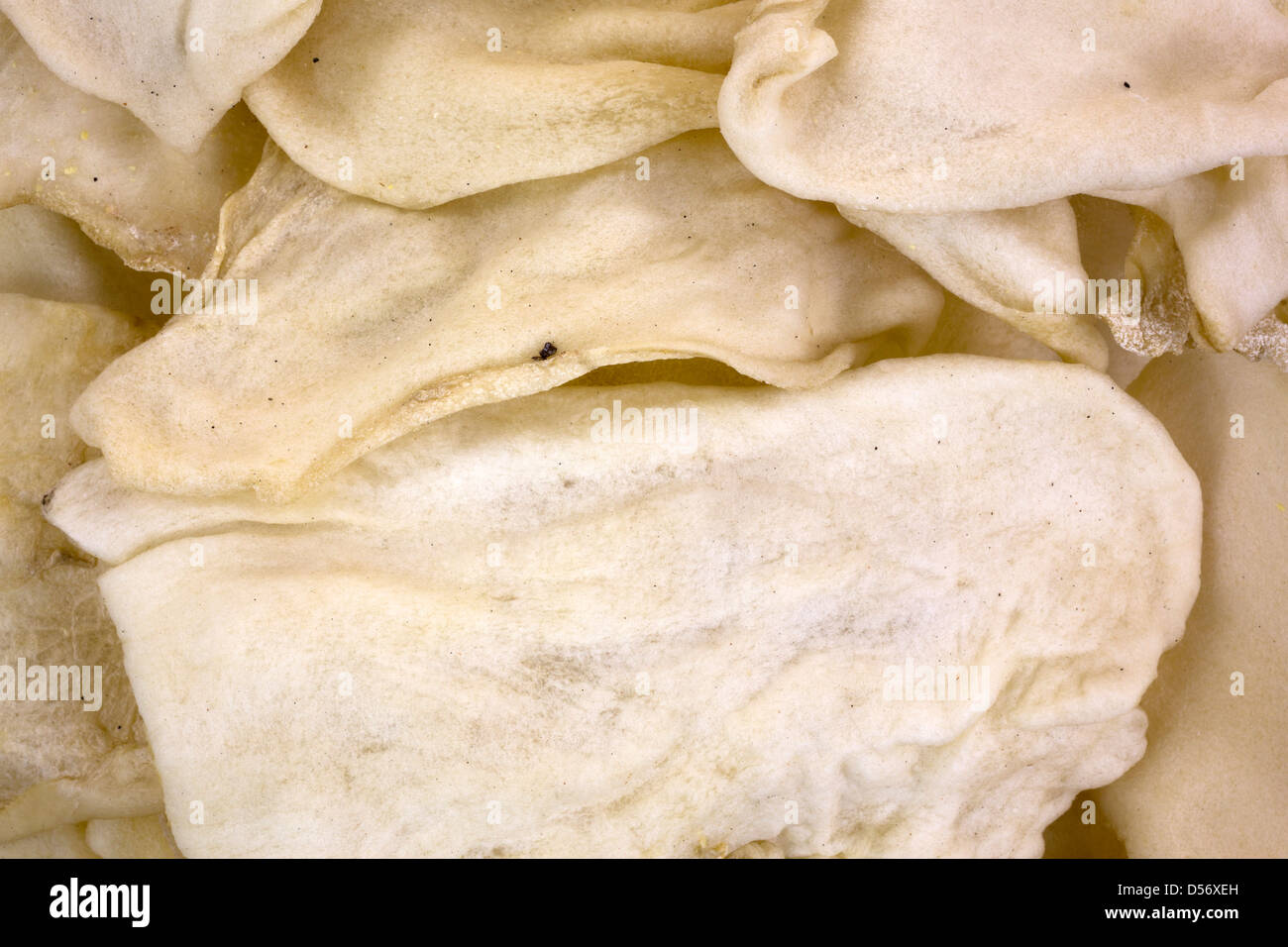 Rawhide hi-res stock photography and images - Alamy
