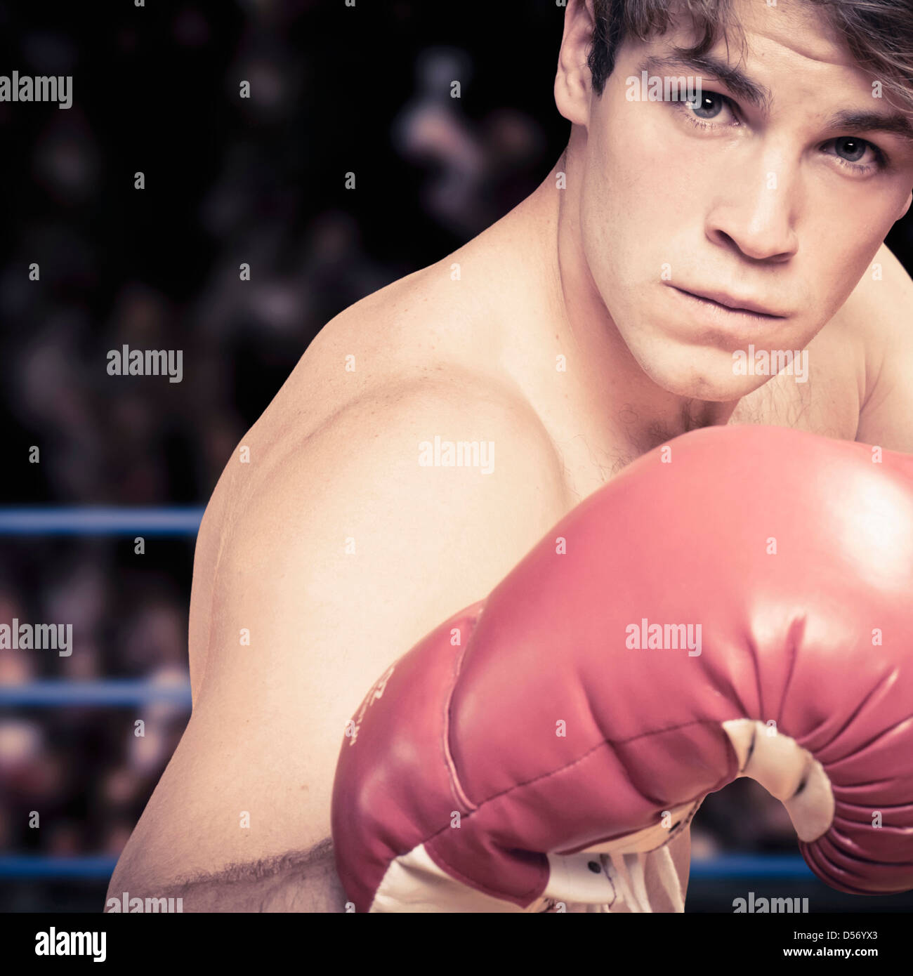 Caucasian boxer with fists raised Stock Photo - Alamy