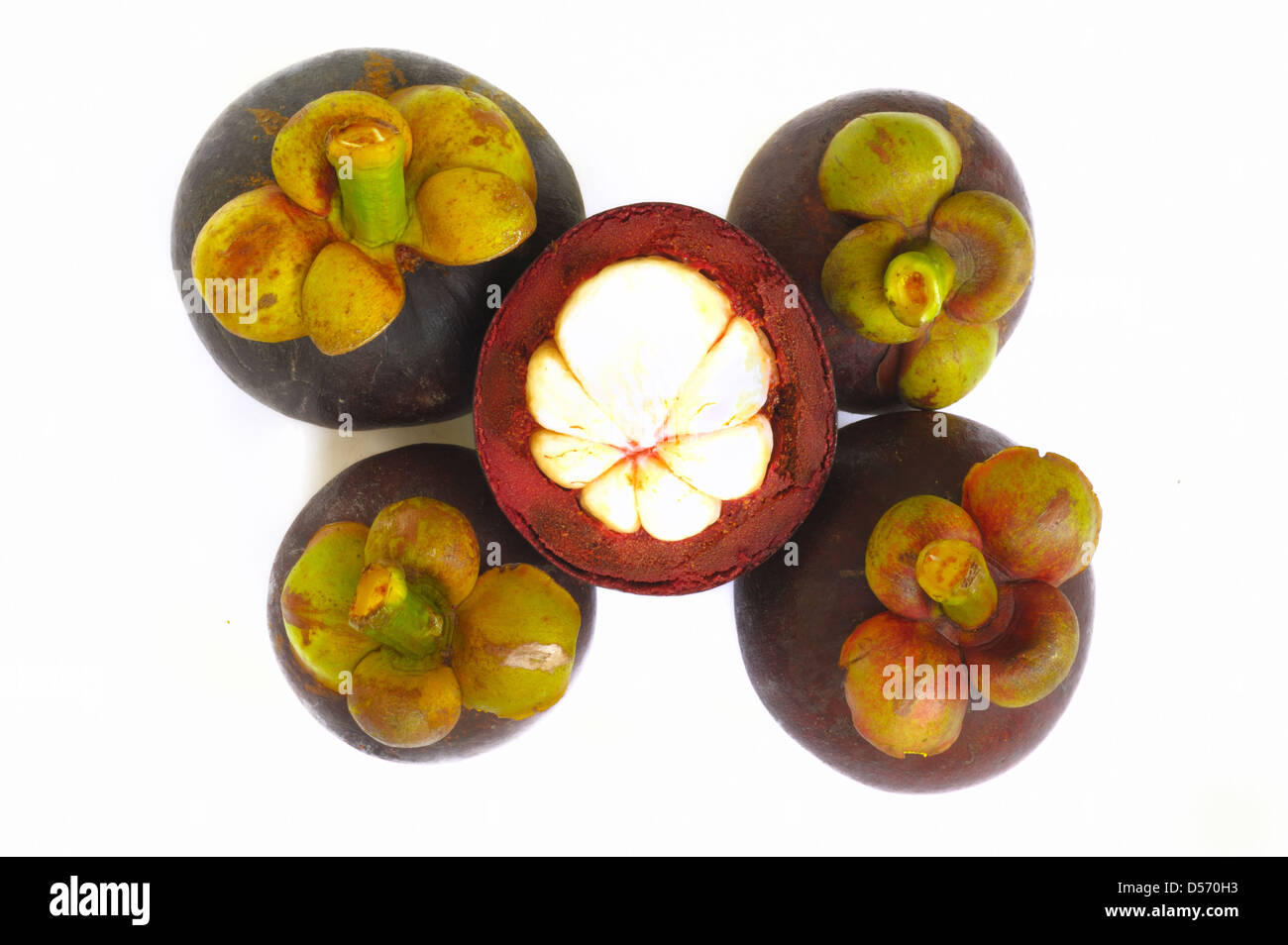 Purple mangosteen tree Cut Out Stock Images & Pictures - Alamy