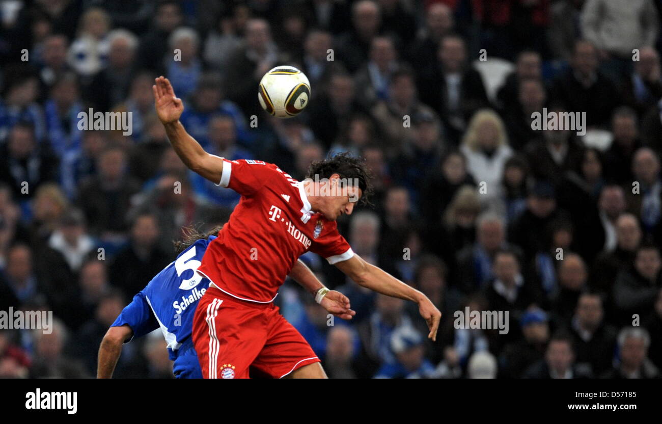 Schalke's Marcelo Bordon (back) fights for the ball with Bayern's Mario ...