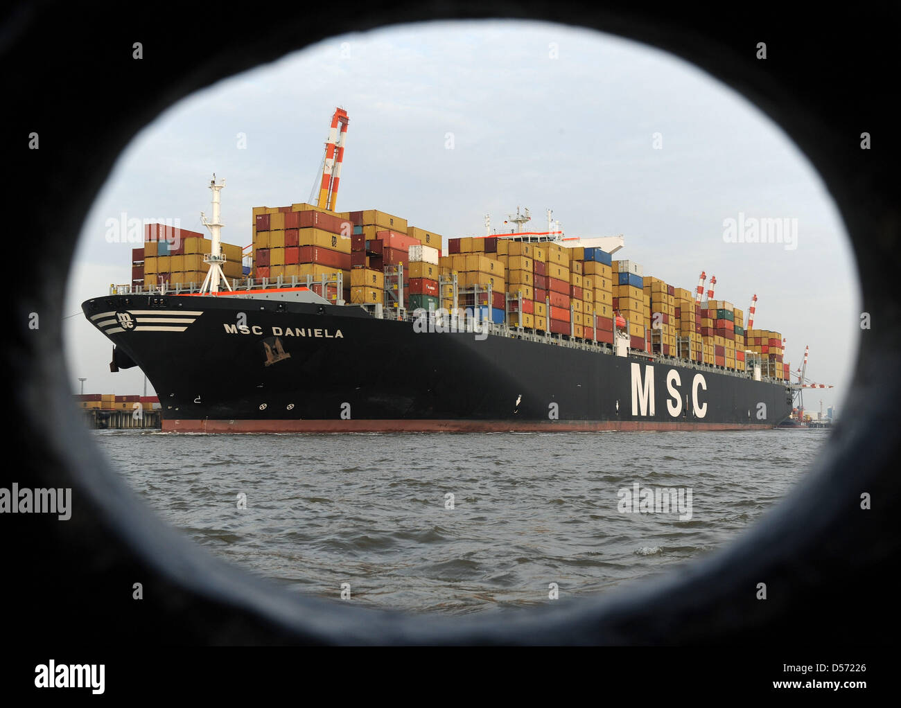 Container Ship 'MSC Daniela' Of 365 Metres Length And 51, 57% OFF