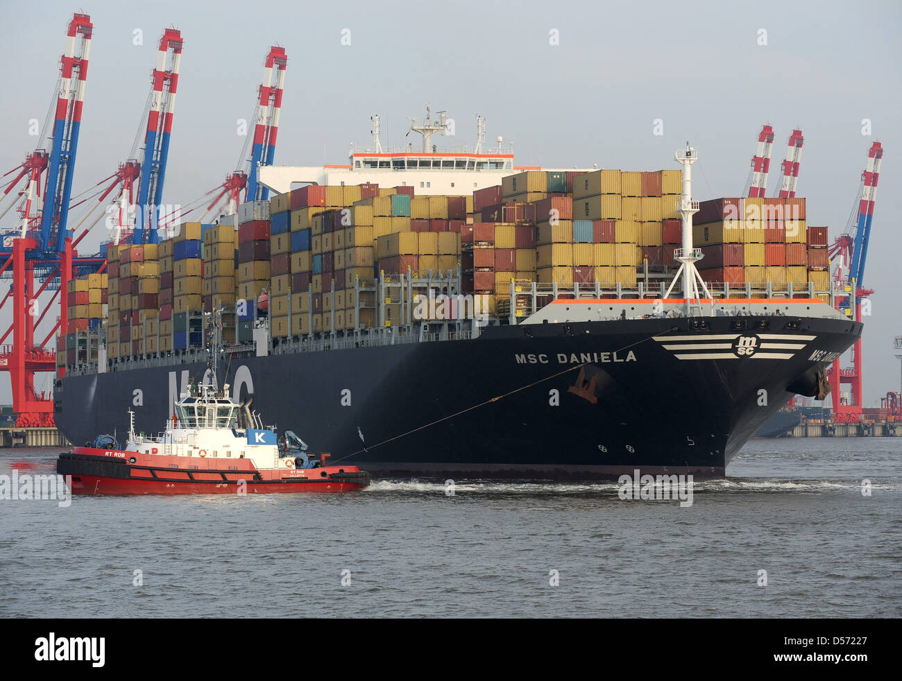 Container ship 'MSC Daniela' of 365 metres length and 51 metres width moors at container ...