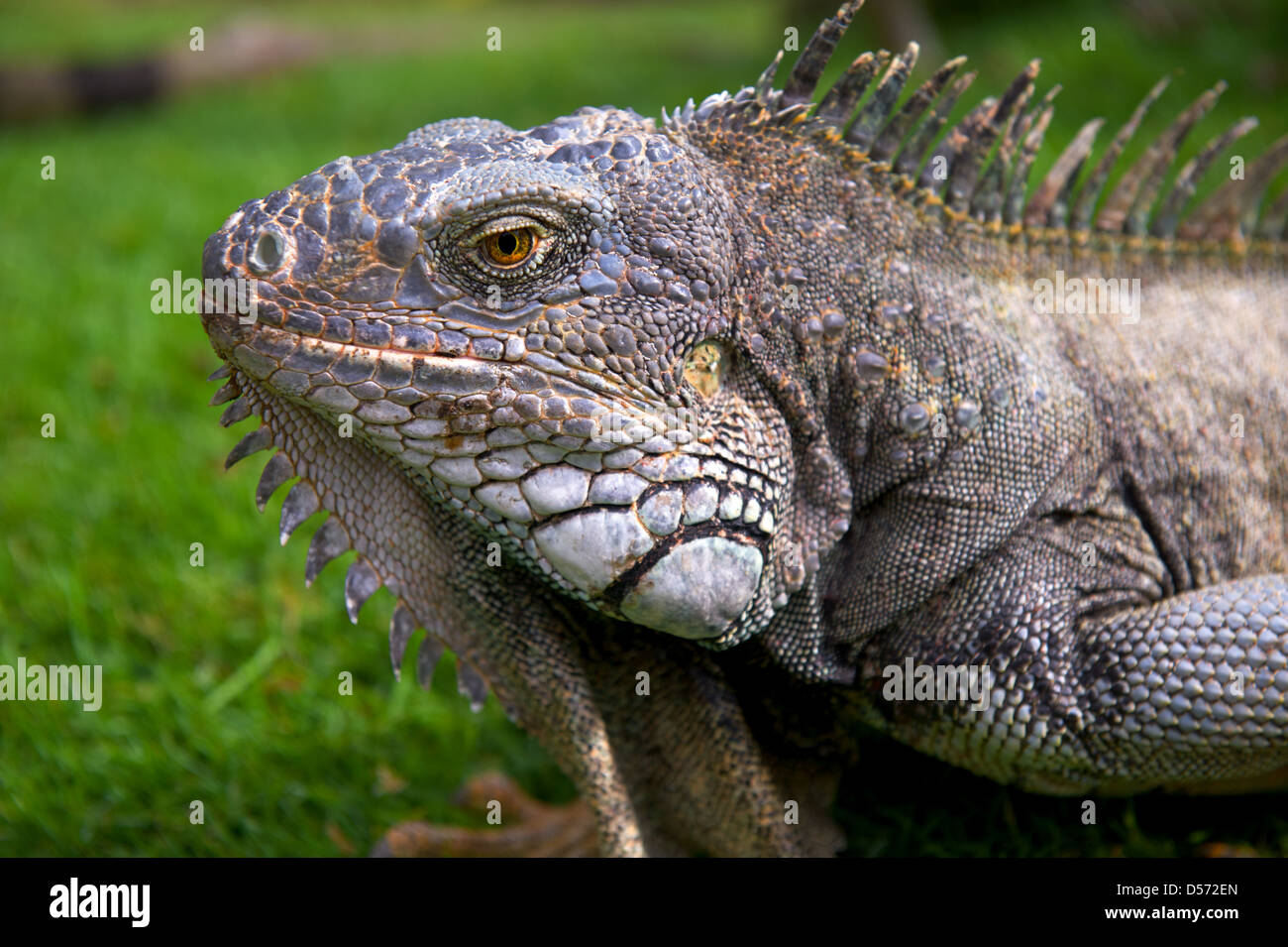 Guayaquil tourism hi-res stock photography and images - Alamy