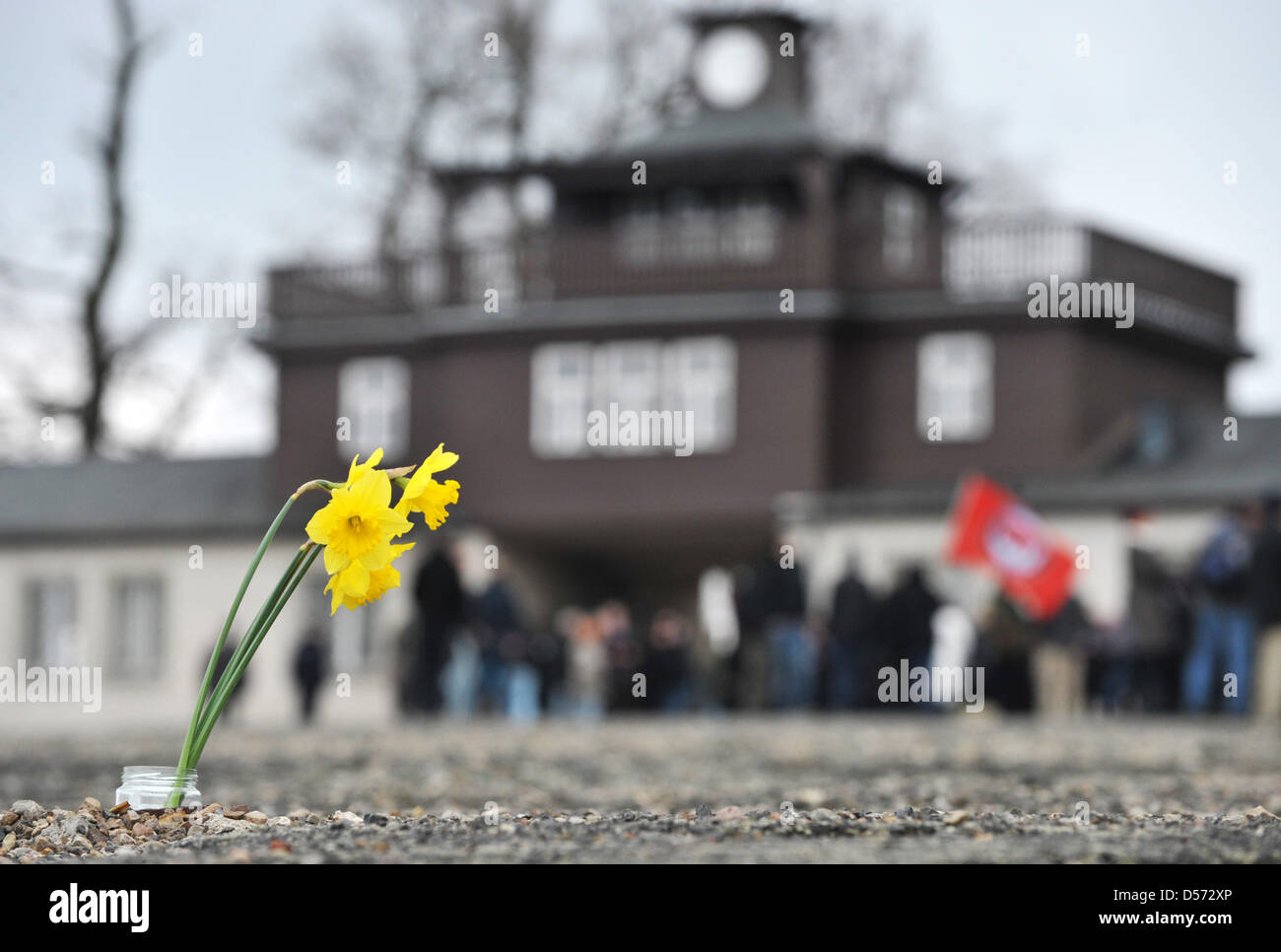 A small bouquet of spring flowers stand in a glass on the former parade ...