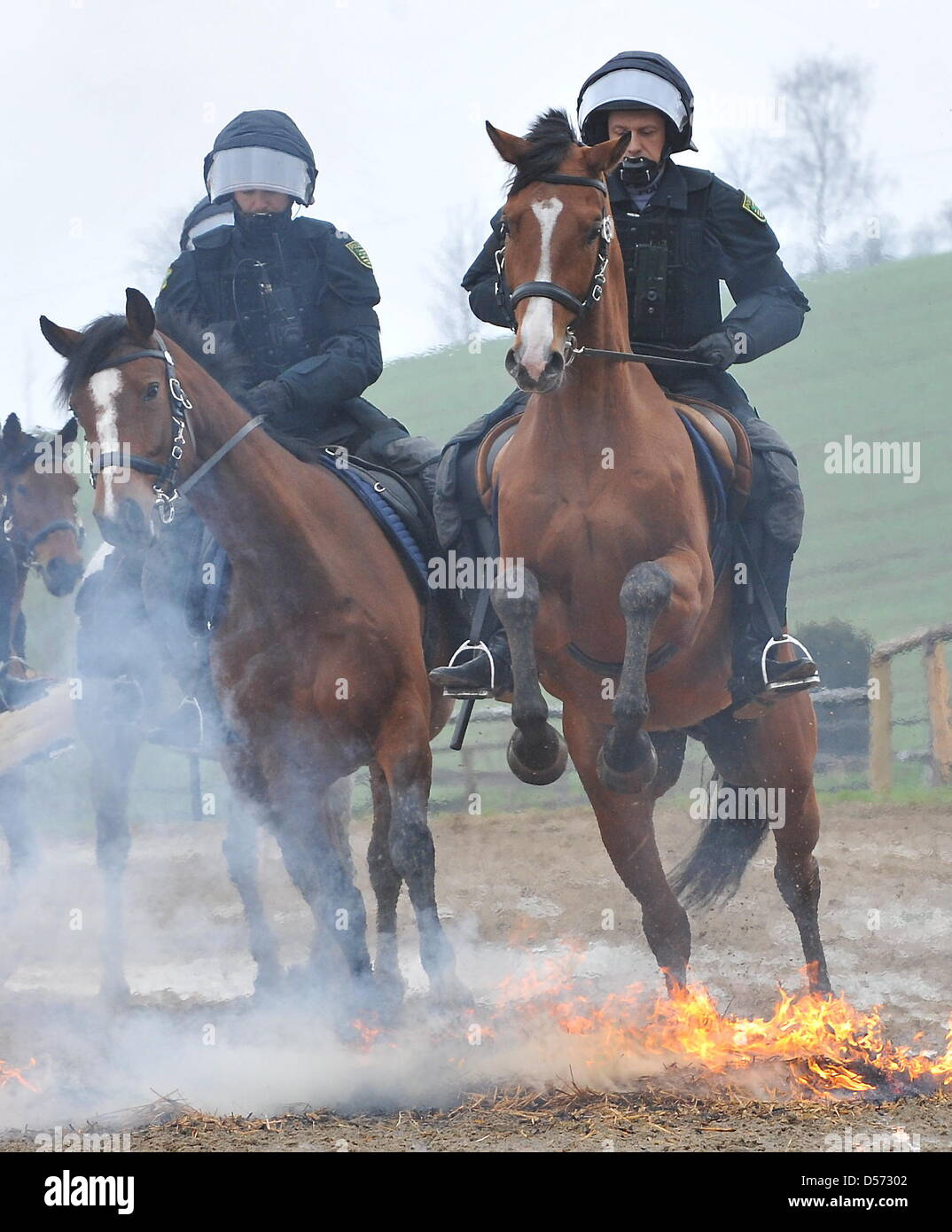 Mounted policemen and their horses ride through a fire during a ...