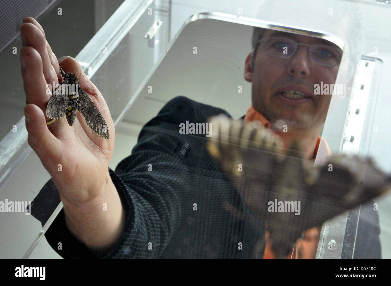Animal wind tunnel hi-res stock photography and images - Alamy
