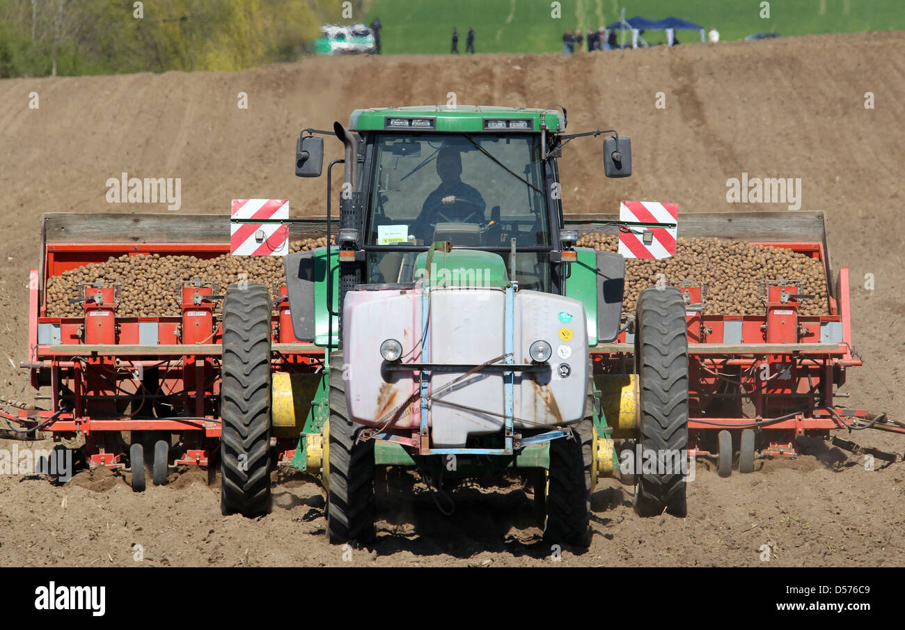 Farmers bed out genetically modified 'Amflora' potatoes near Buetow ...