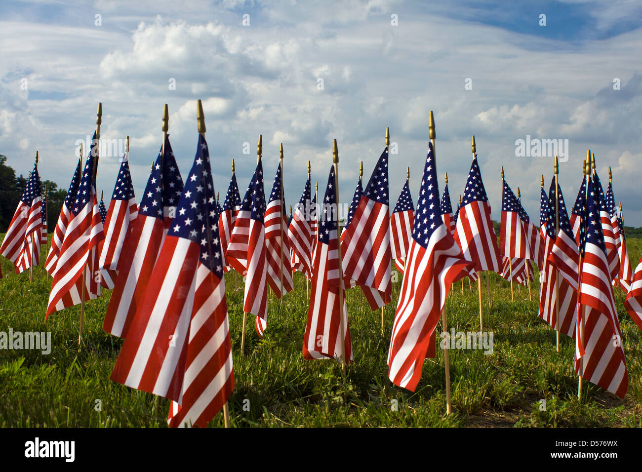 Field of flags memorial hi-res stock photography and images - Alamy