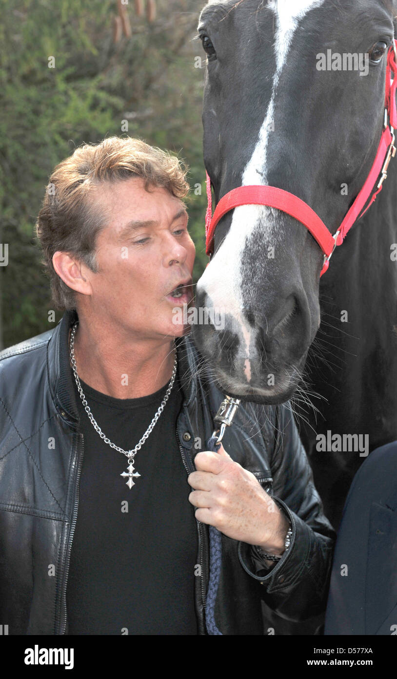 US American actor and singer David Hasselhoff poses with a horse at ...