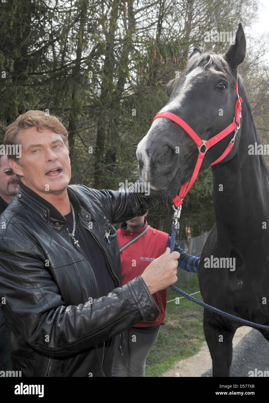 US American actor and singer David Hasselhoff poses with a horse at ...
