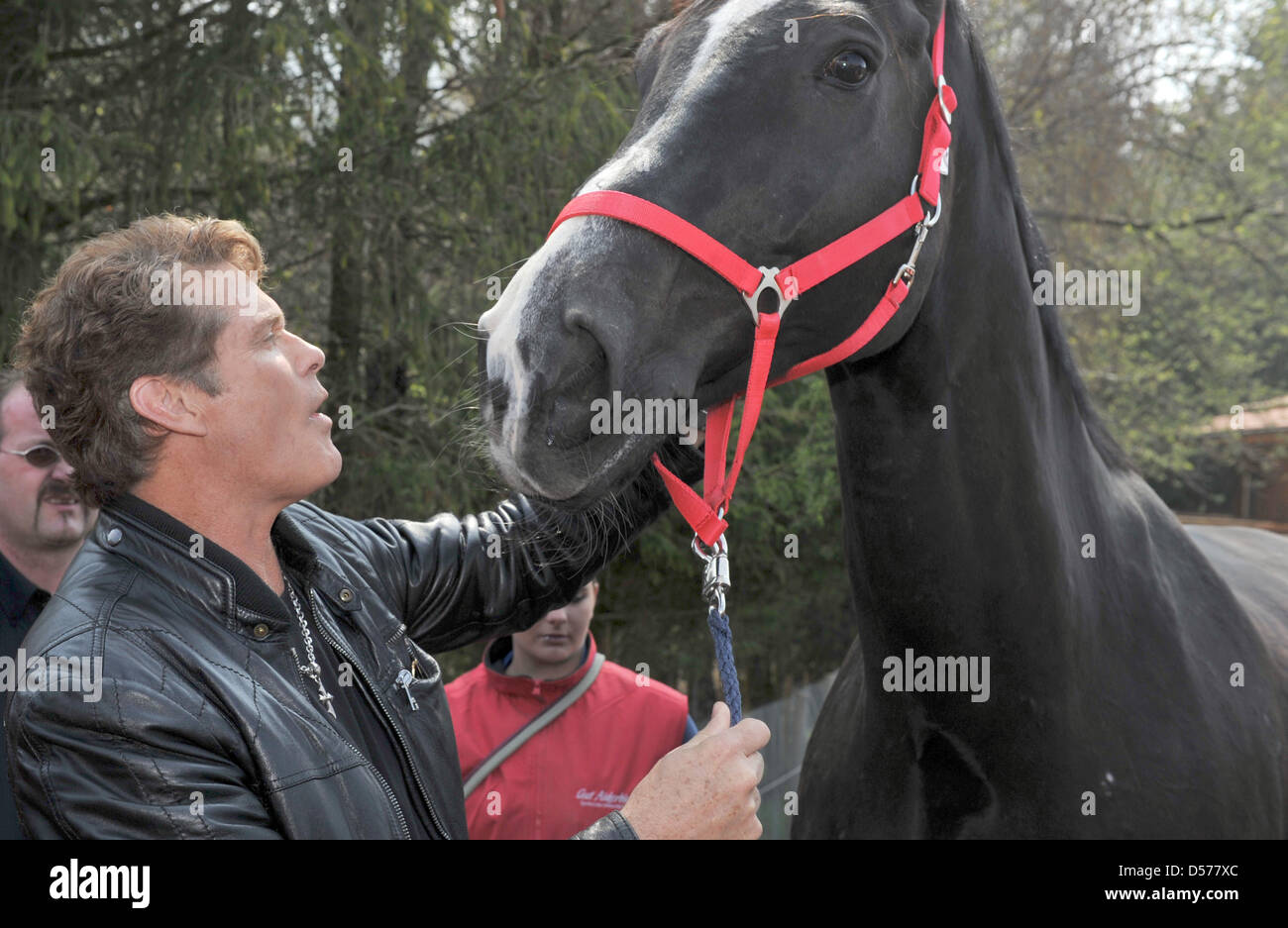 US American actor and singer David Hasselhoff poses with a horse at ...
