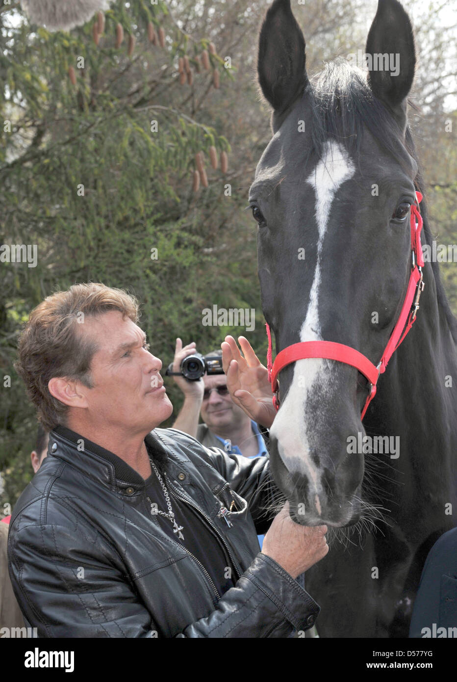 David hasselhof hi-res stock photography and images - Alamy