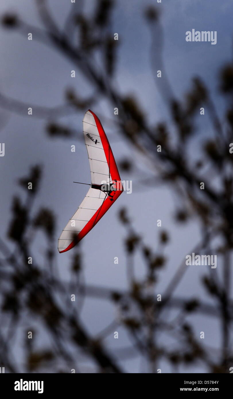 A hang glider glides behind the branches of a tree near Schwangau ...