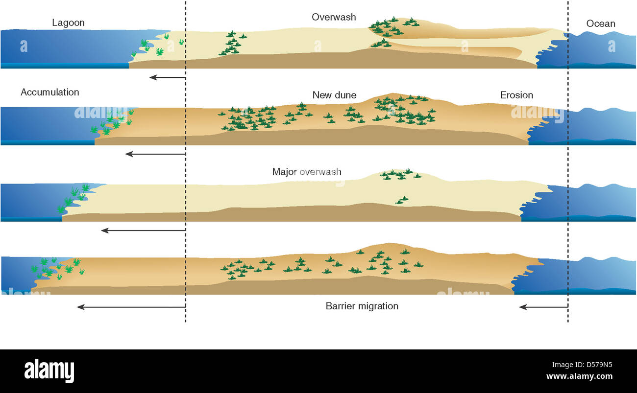 Dune dunes Cut Out Stock Images & Pictures - Alamy
