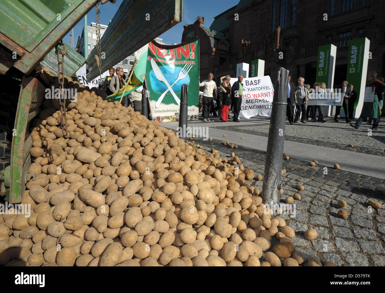 Genetically modified potato hi-res stock photography and images - Alamy