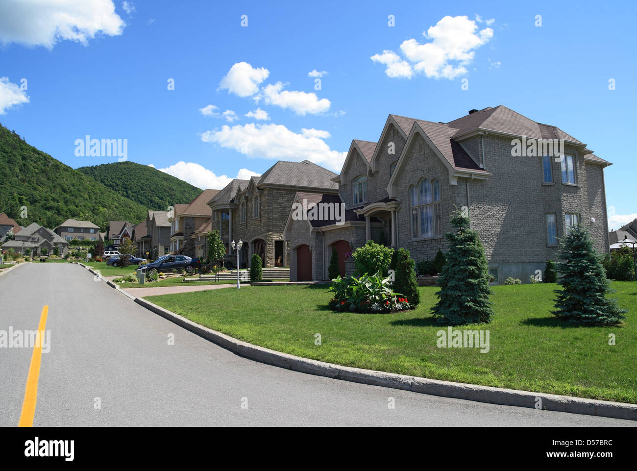 Rich Suburban Neighborhood