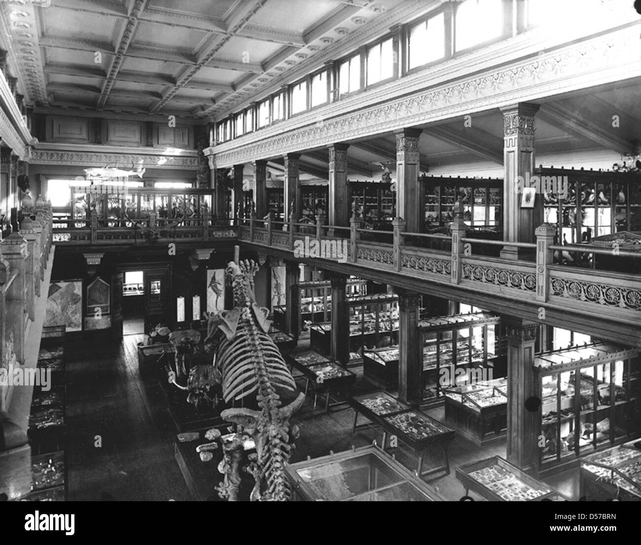 Mcgill redpath hi-res stock photography and images - Alamy