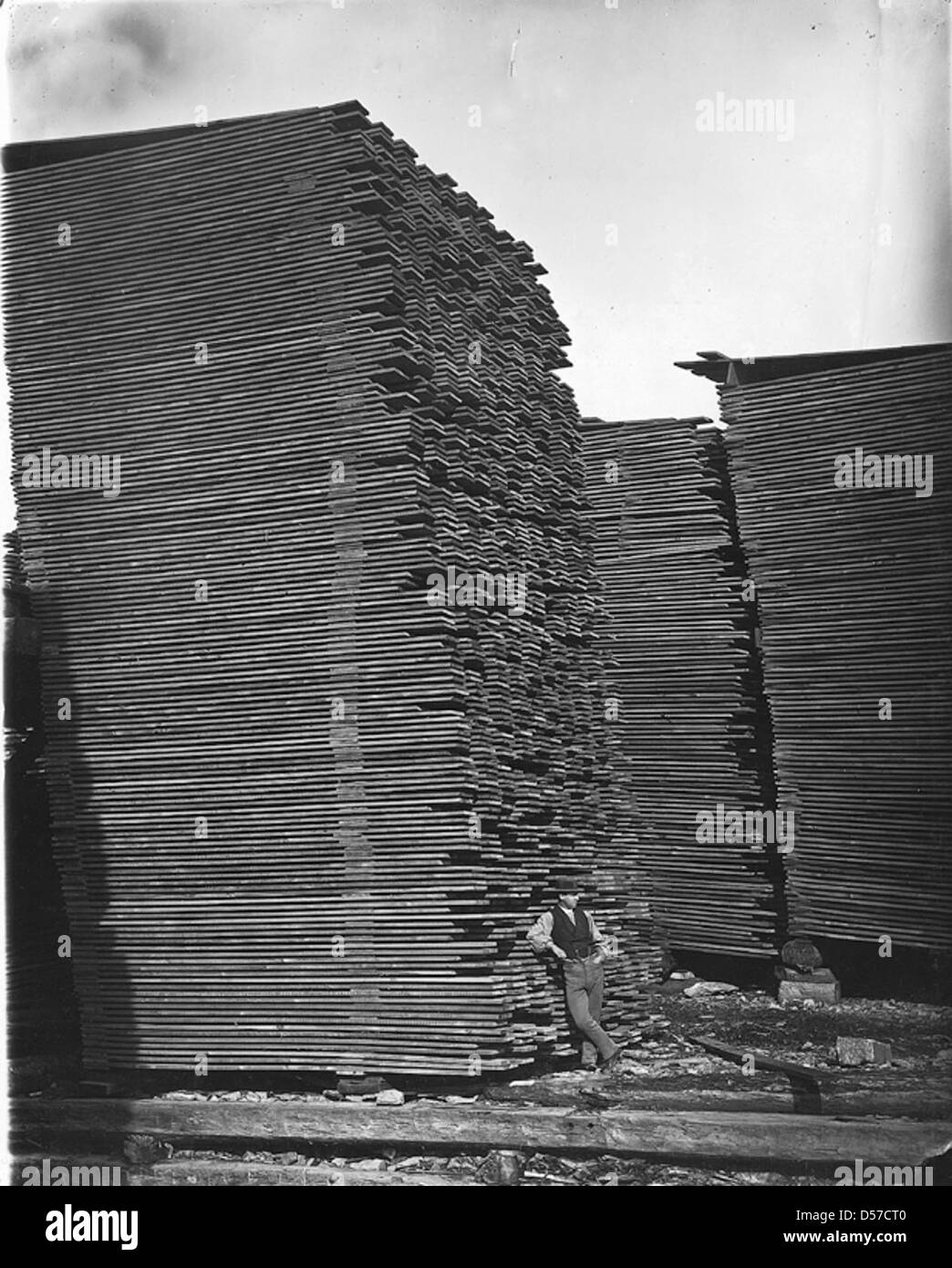 Piles de bois hi-res stock photography and images - Alamy