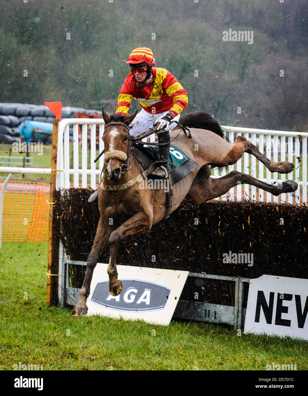 Point to Point racing at Overton Farm South Lanarkshire Scotland Stock ...