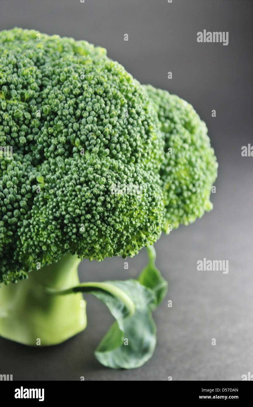 Fresh broccoli in closeup Stock Photo - Alamy