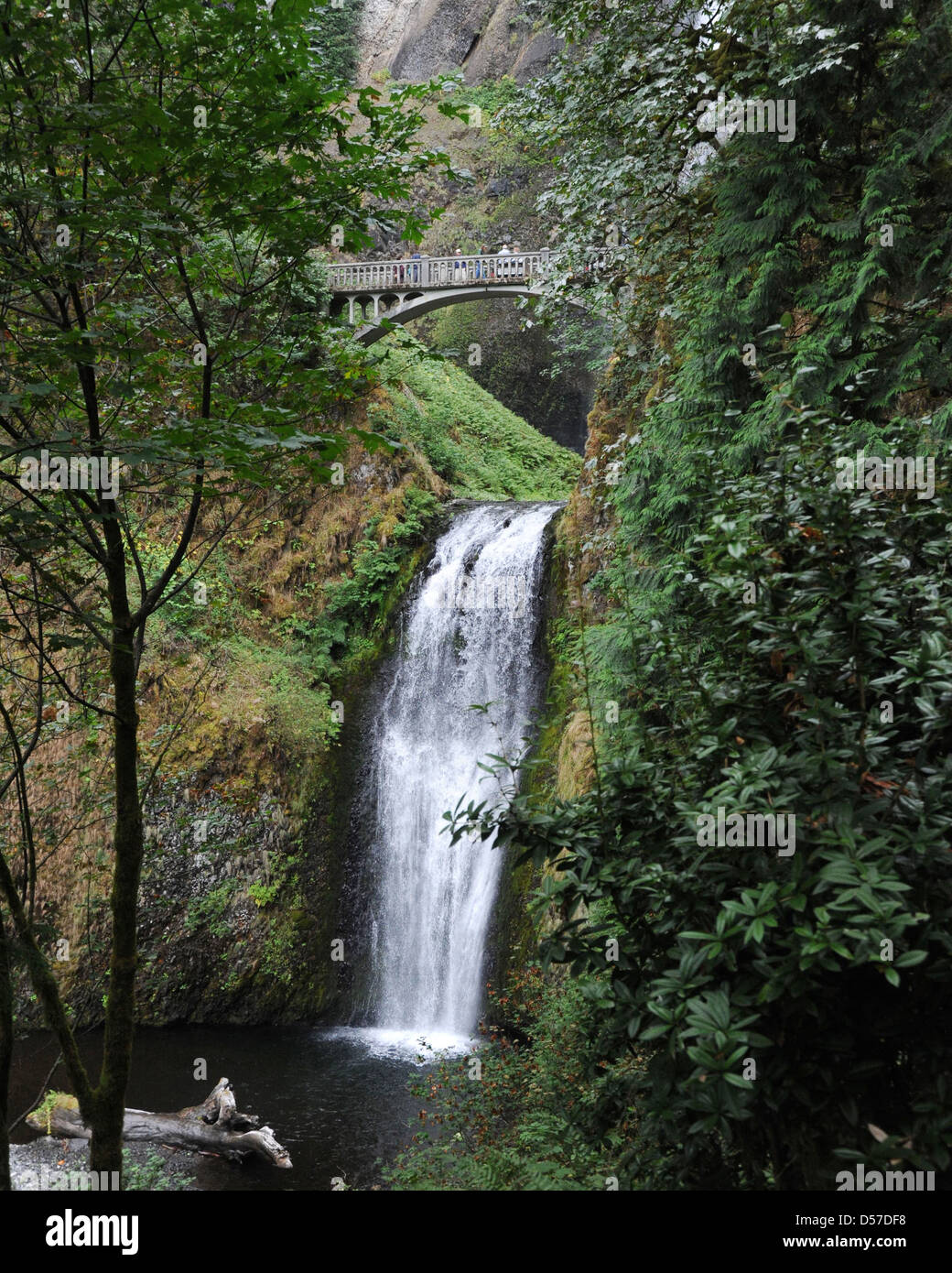 Multnomah Falls waterfall Columbia River Gorge Oregon, Multnomah Falls ...