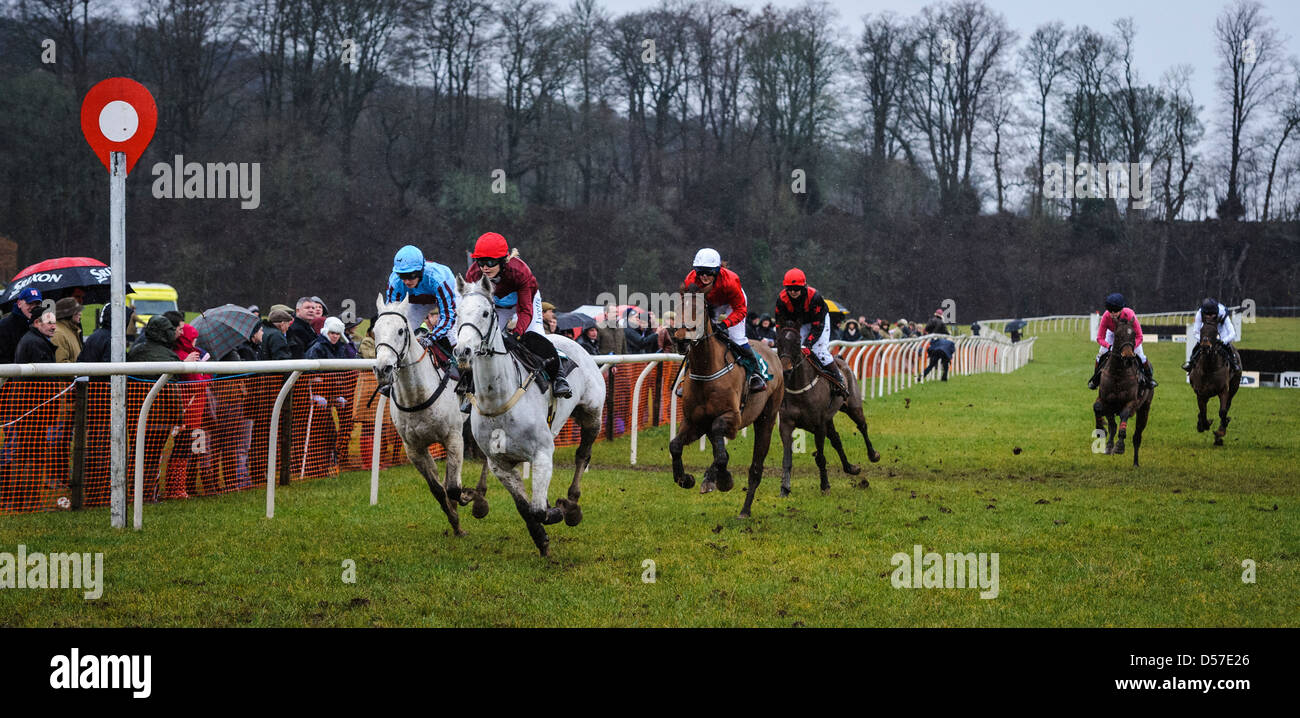 Point to Point racing at Overton Farm South Lanarkshire Scotland Stock ...