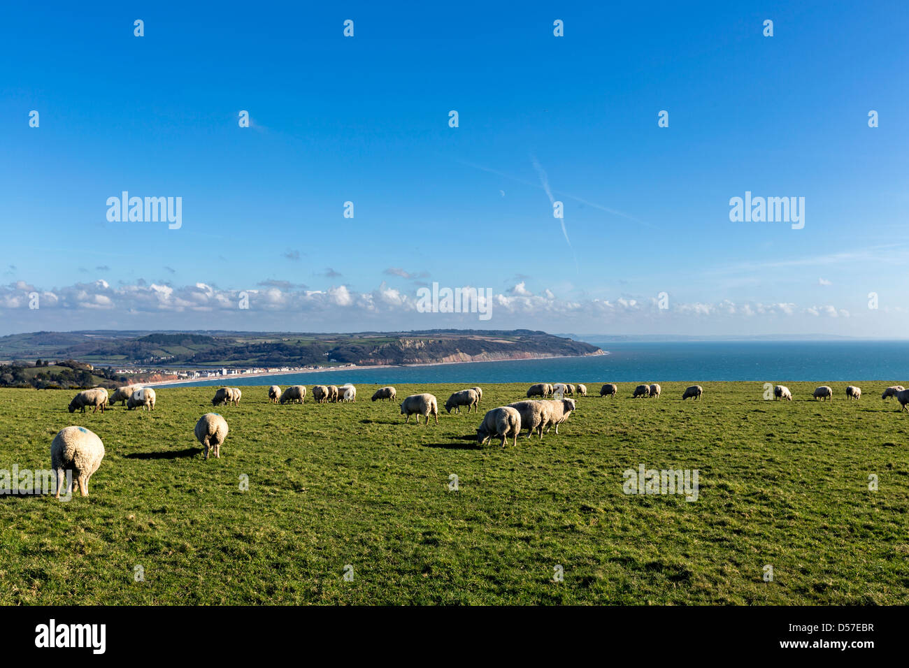Lyme bay and devon hi-res stock photography and images - Alamy