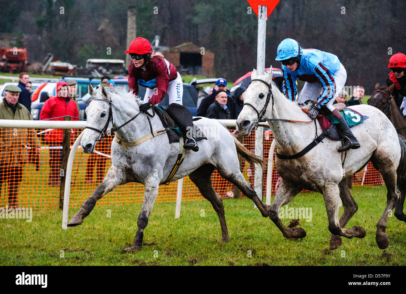 Point to point racing horse racing hi-res stock photography and images ...