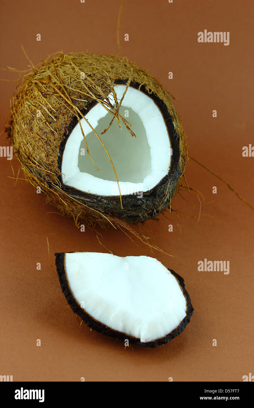Coconut tree parts hi-res stock photography and images - Alamy