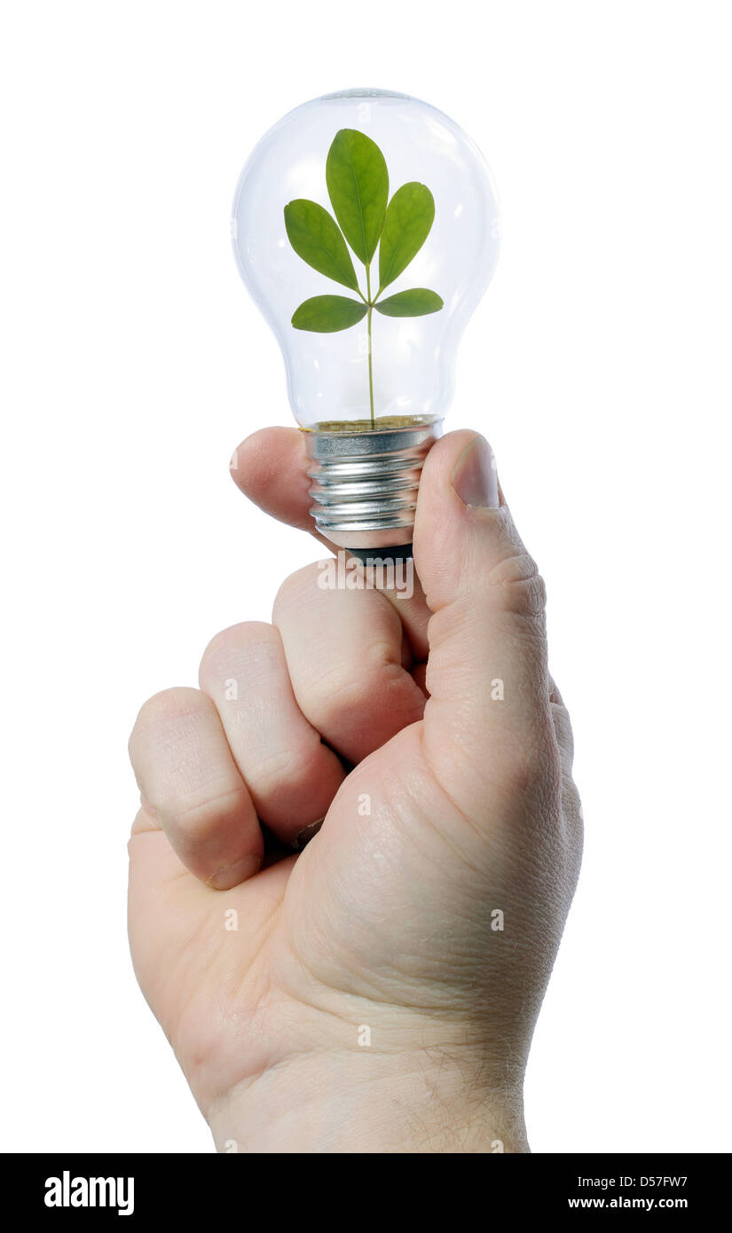 man holding light bulb in his hand - green concept Stock Photo - Alamy