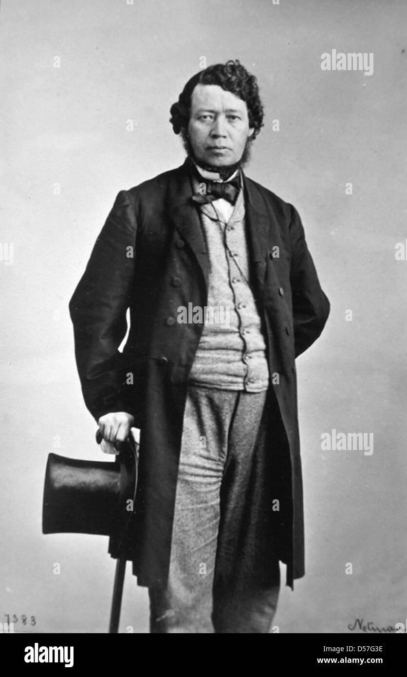 This historical portrait of Thomas D'Arcy McGee, a key Canadian ...