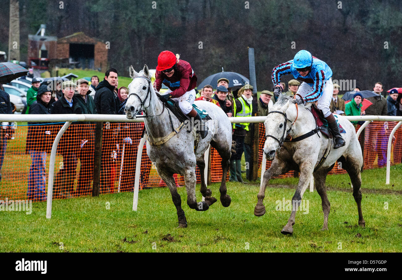 Point to point horse racing hi-res stock photography and images - Alamy