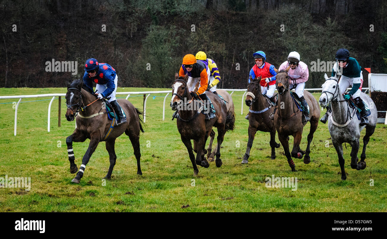 Point to Point racing at Overton Farm South Lanarkshire Scotland Stock ...