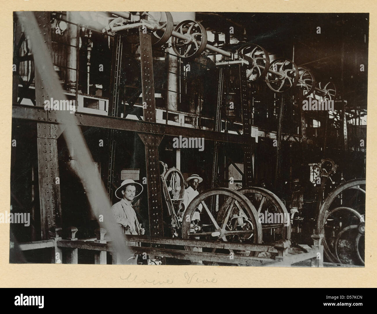 The eruption of Mt. Pelee in 1902 devastated St. Pierre, Martinique ...