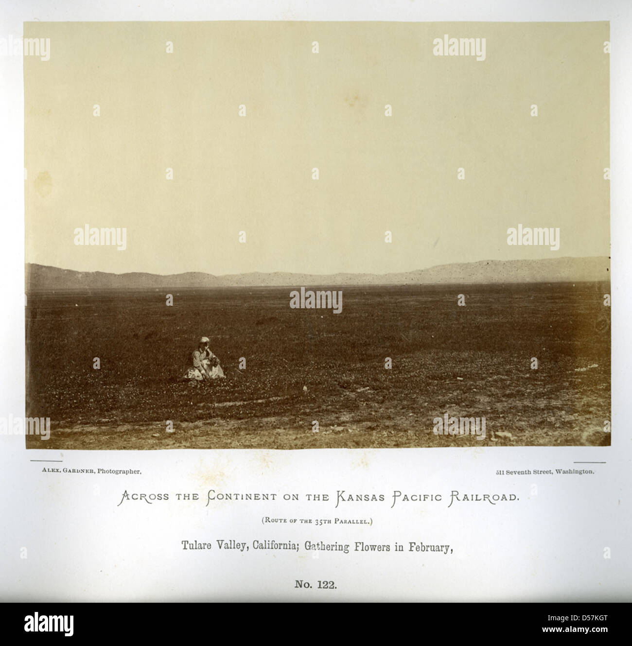 A photograph of people gathering flowers in Tulare Valley, California ...