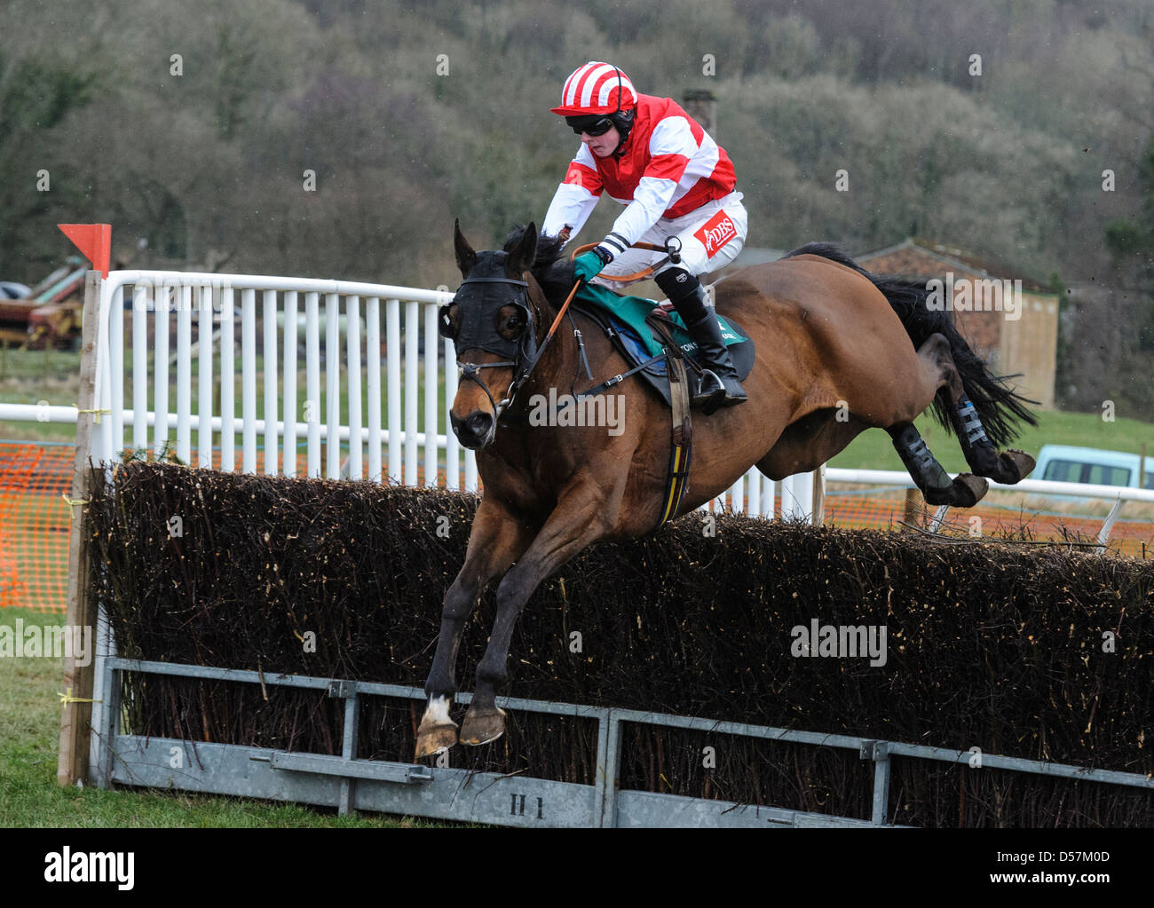 Point to Point racing at Overton Farm South Lanarkshire Scotland Stock ...