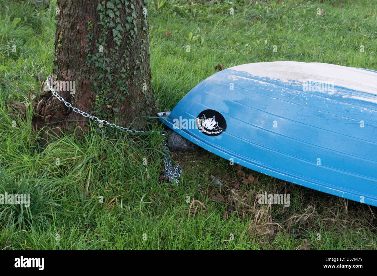 Rowing boat tied to a tree Stock Photo - Alamy