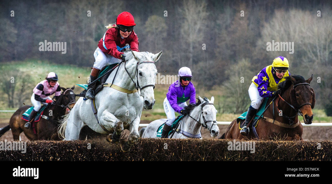Point to Point racing at Overton Farm South Lanarkshire Scotland Stock ...