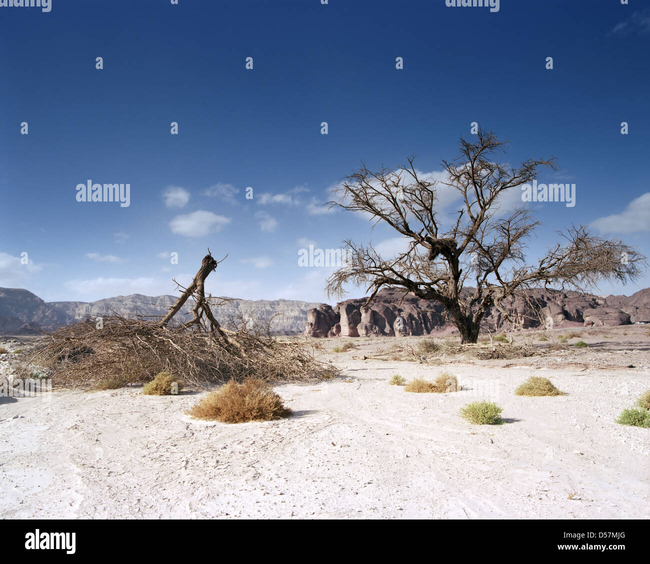 Desert landscape in the subtropics Stock Photo - Alamy